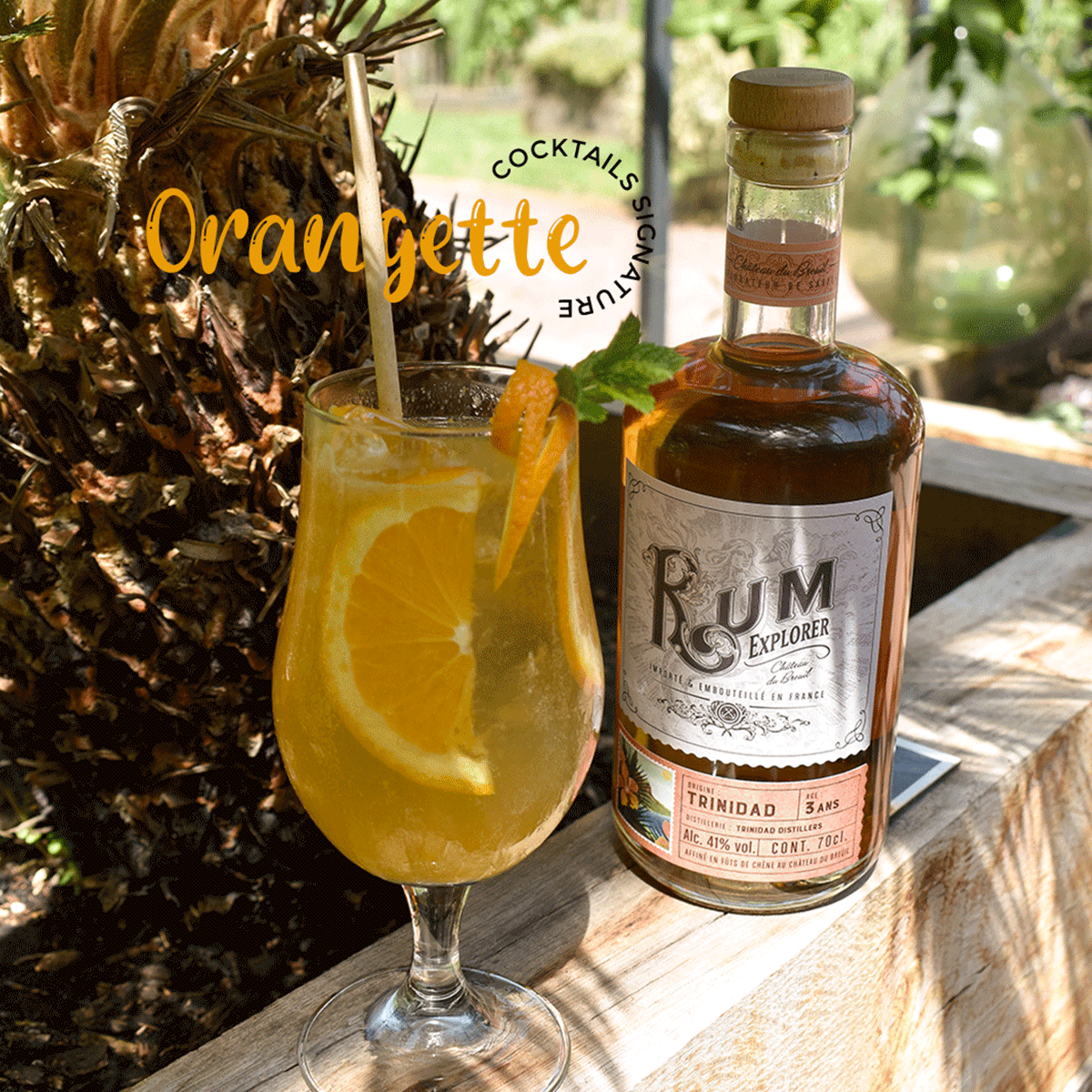 Rum Explorer — Trinidad - La Spiriterie Française